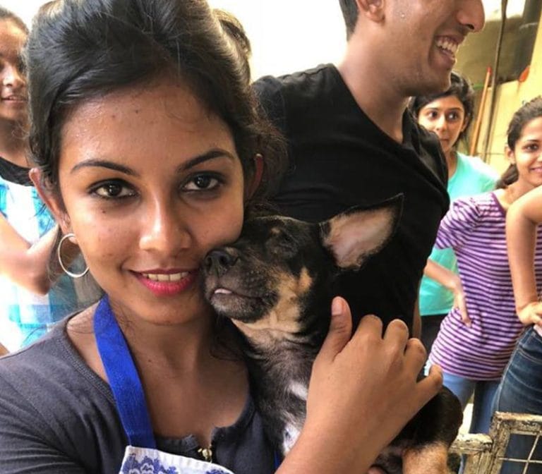 Animal Welfare and Protection Association (AWPA)